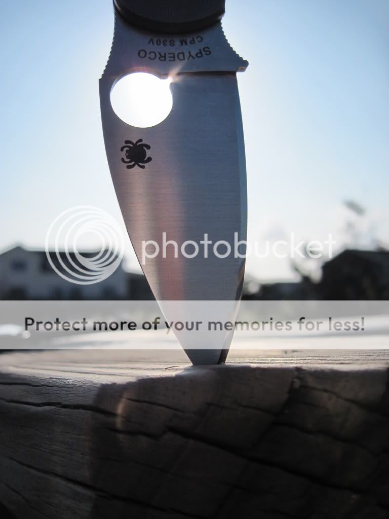 Sharpening Sebenza on Sharpmaker | BladeForums.com